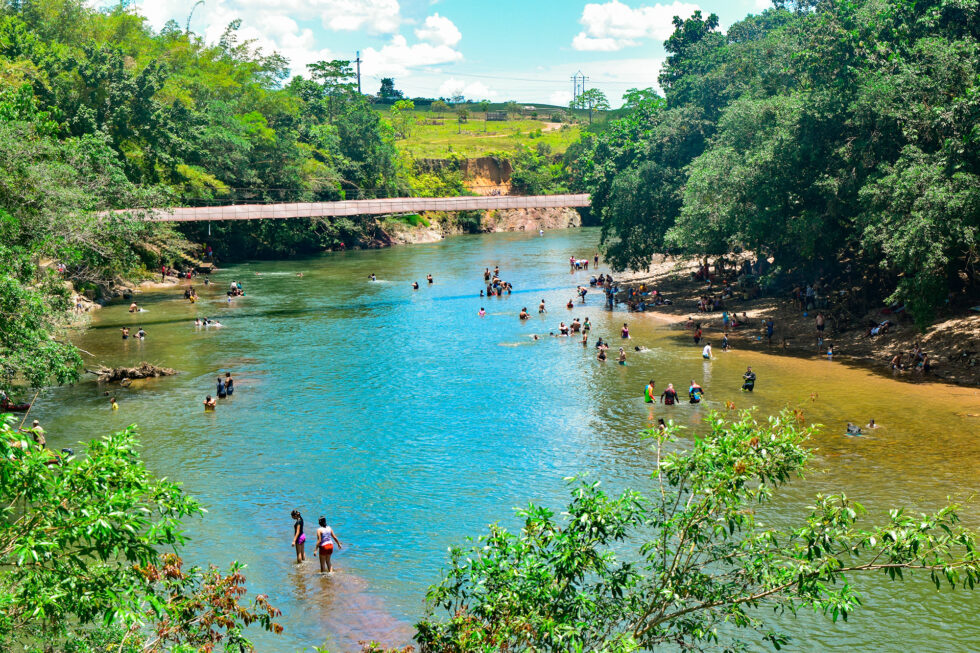 Tribunal de Cundinamarca falla a favor del río Caquetá y las ...